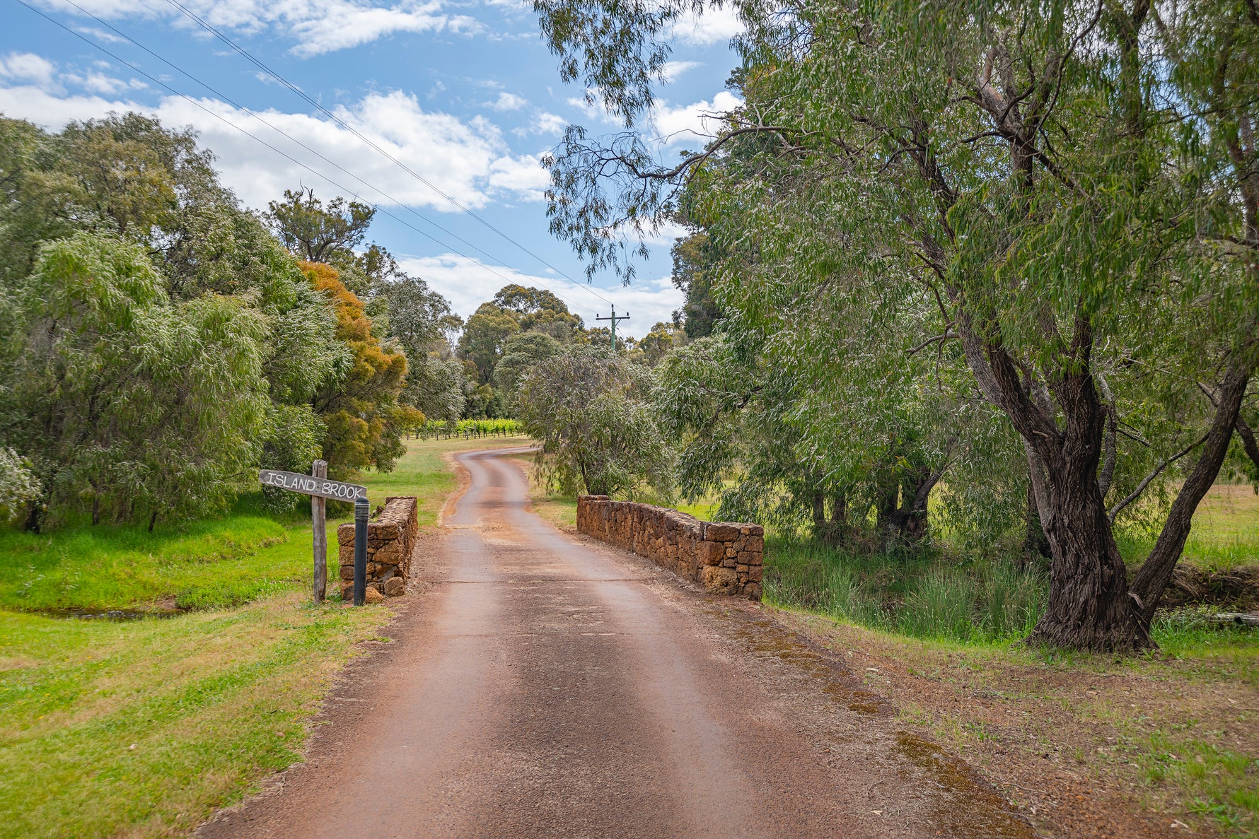 About – Island Brook Estate Vineyard and Chalets